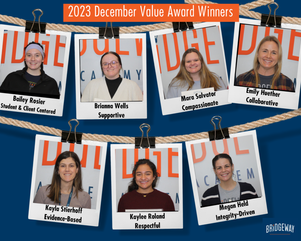 Bridgeway Value Awards